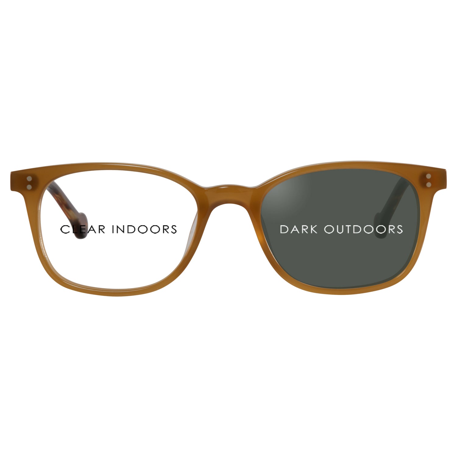 Leonardo Light Responsive Readers | ArtTech – eyeOs Eyewear